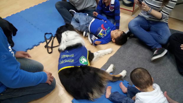 Curso Intensivo en Agosto 2017 de Educador Canino de Perro de Terapia ...